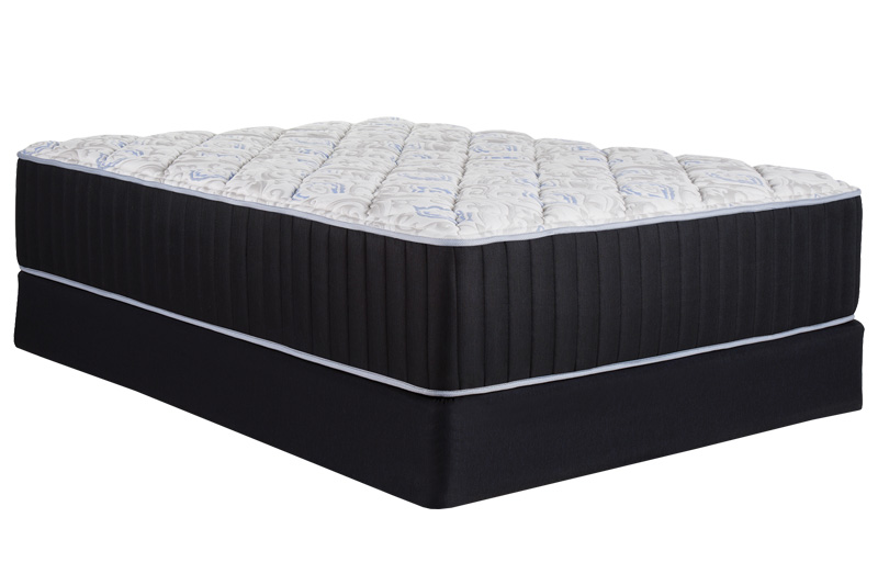 Evolution :: Evolution Hybrid NXT