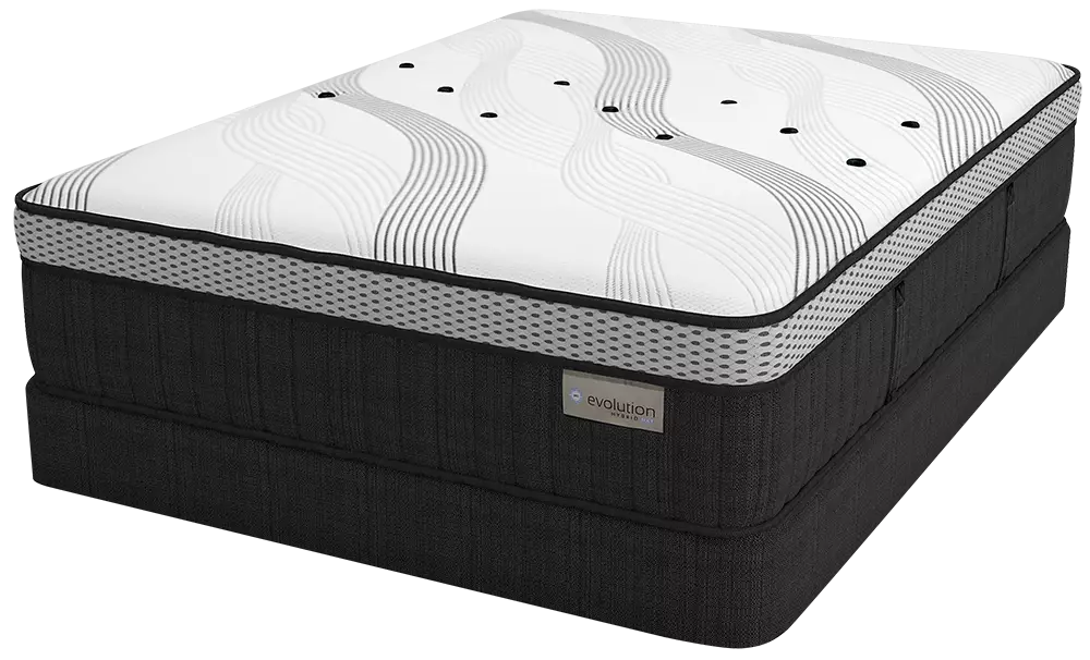 Evolution :: Evolution Hybrid NXT