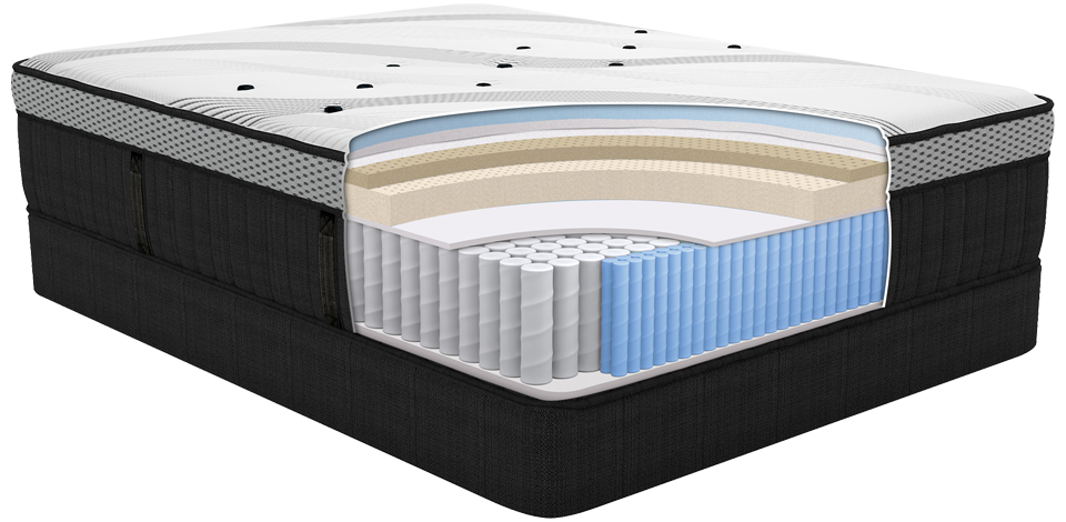 Evolution :: Evolution Hybrid NXT