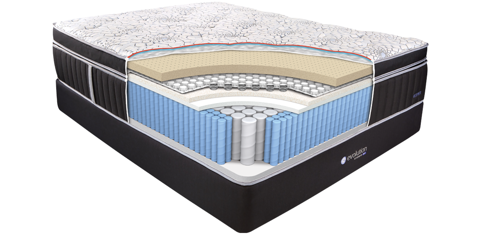 Evolution :: Evolution Hybrid NXT